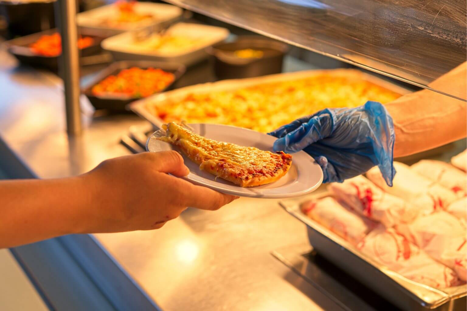 School Dinners - Meadow Park School