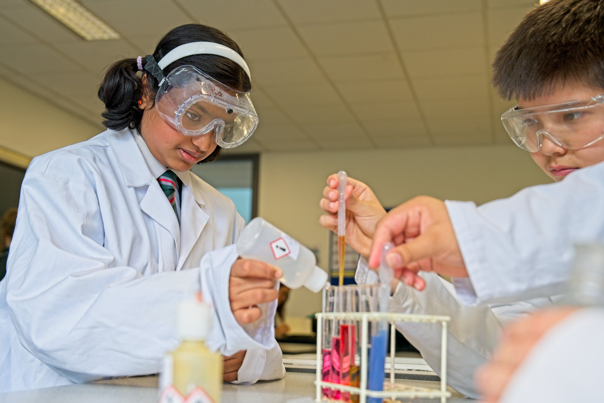 Science - Meadow Park School